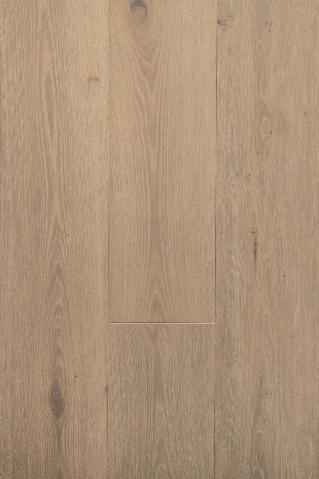 Rocky - Warren Christopher